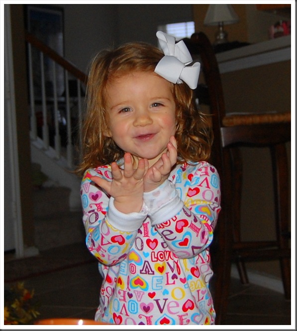 The Gauger Family: Life with a 28 Month Old